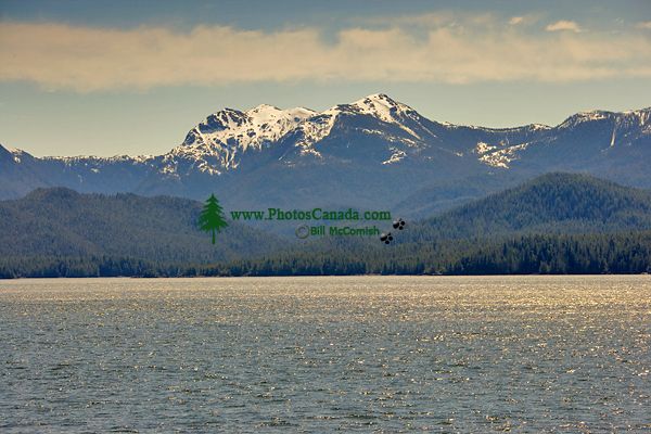 PhotosCanada.com Gallery :: BC Ferries Inside Passage Cruise Photos ...