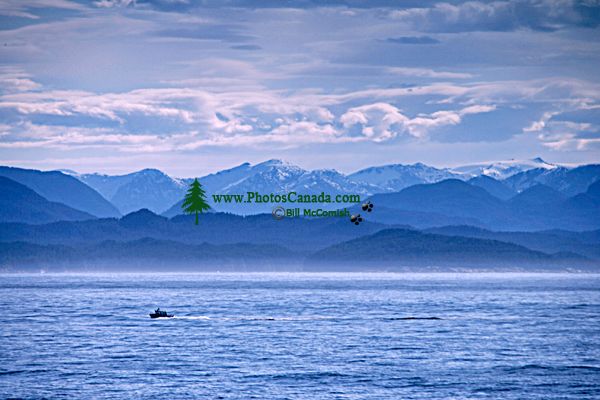 PhotosCanada.com Gallery :: BC Ferries Inside Passage Cruise Photos ...