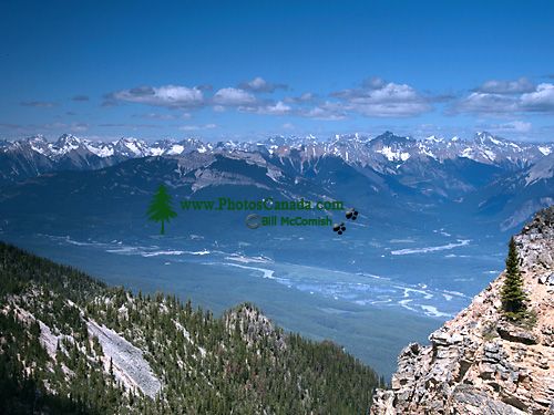 PhotosCanada.com Gallery :: Kicking Horse Ski Resort, Golden, British ...