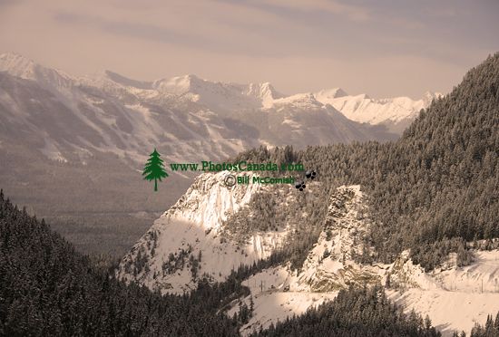 PhotosCanada.com Gallery :: Kicking Horse Ski Resort, Golden, British ...